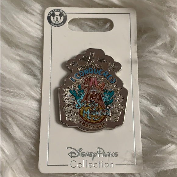 Disney | Accessories | Disney I Conquered Splash Mountain Pin | Poshmark